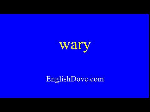 How to pronounce wary in American English.