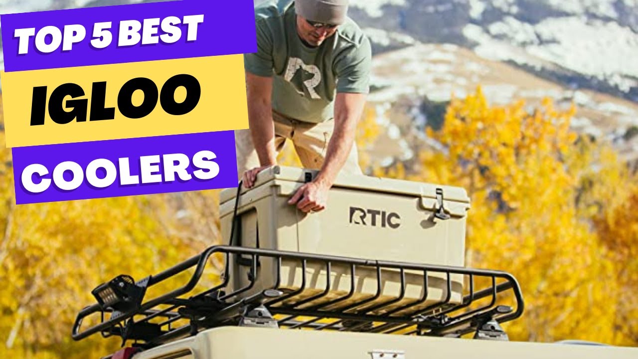 Top 5 Best Igloo Coolers 2025