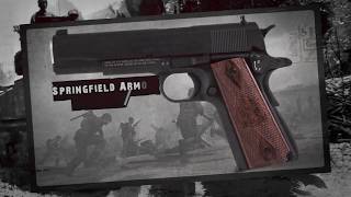 Springfield Armory 1911 Mil-Spec. | CO2 BB Pistol | Pyramyd AIR