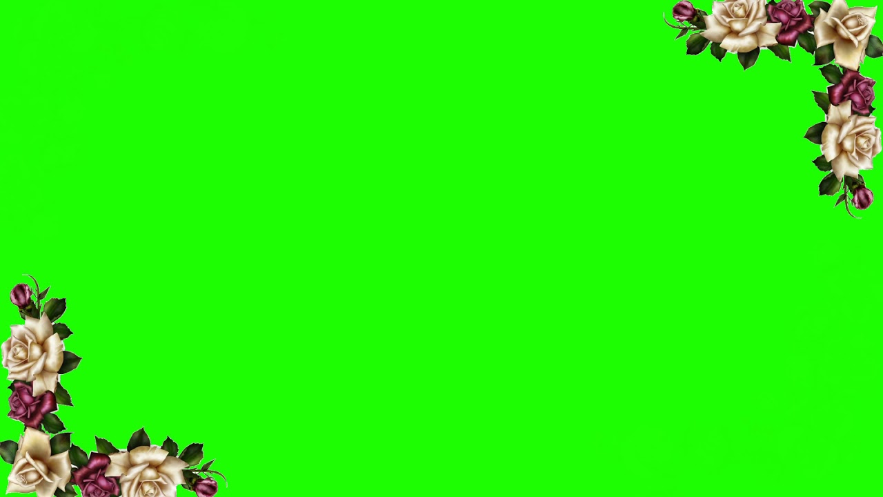 GREEN SCREEN FLOWERS BORDER  FRAME