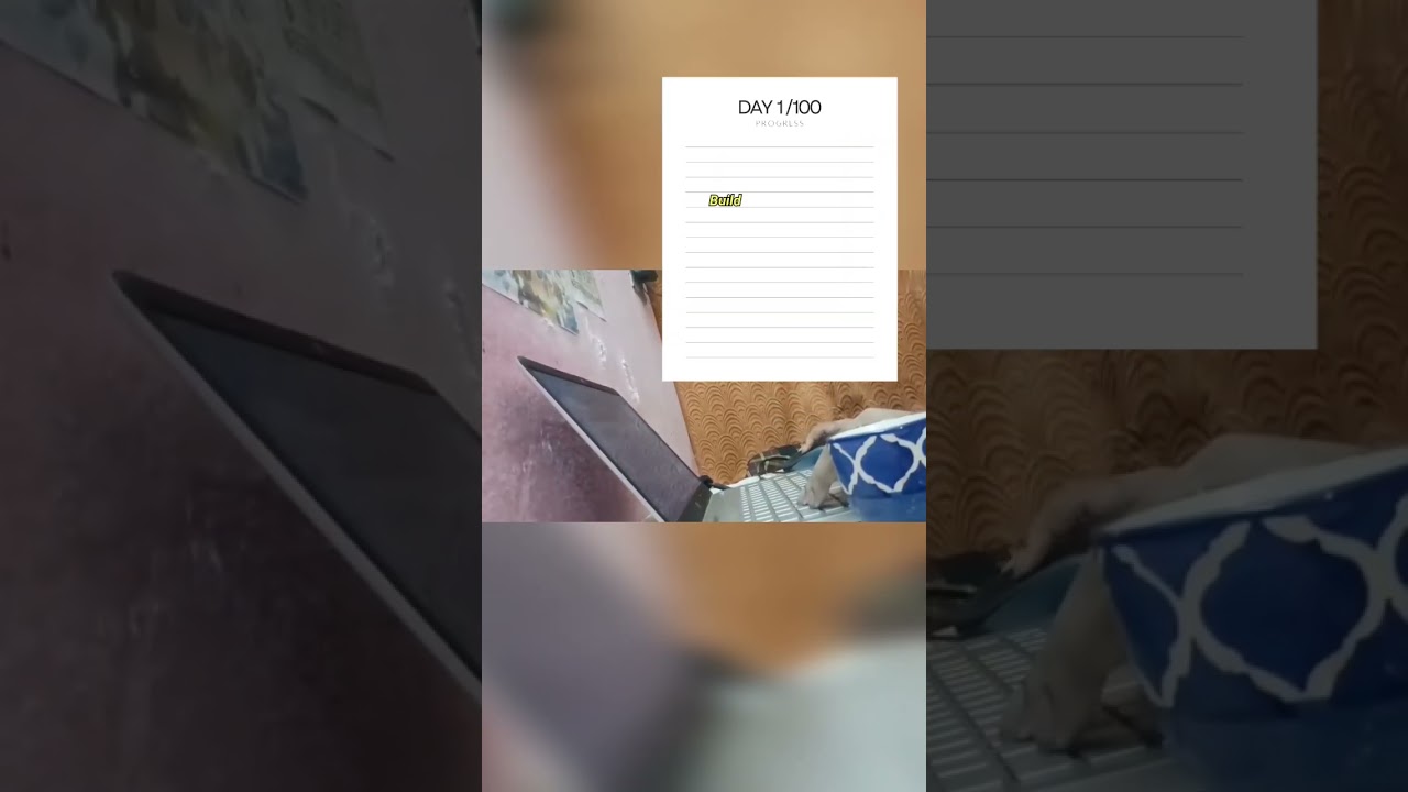 My Journey as a Flutter Developer: Day 1/100