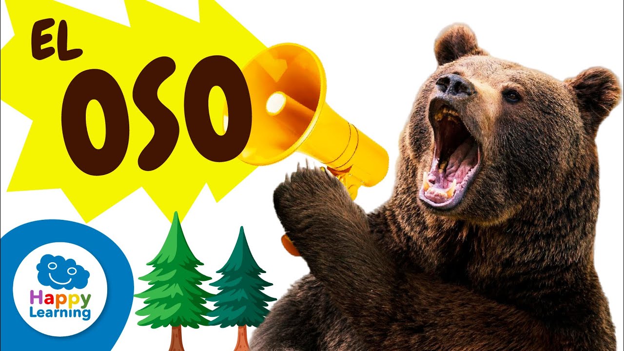 EL OSO | Animales para Niños | Happy Learning 🧸🐼🐻‍❄️ #happylearning #oso #animales