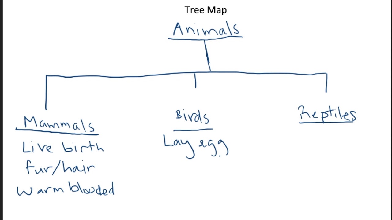 Tree Map