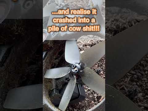 Crashing Drone into Cow Shit - Level 137 #funnyshorts #funnyfails #dronevideo #dronefootage #fpv