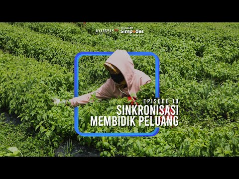 Petualangan BRILIAN Episode 10 : Sinkronisasi Membidik Peluang