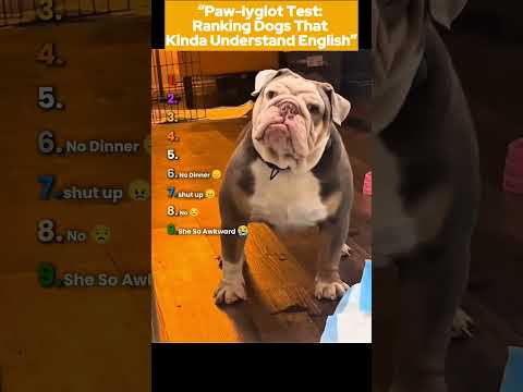 “Paw-lyglot Test: Ranking Dogs That Kinda Understand English” #funny #trending #animallife #shorts