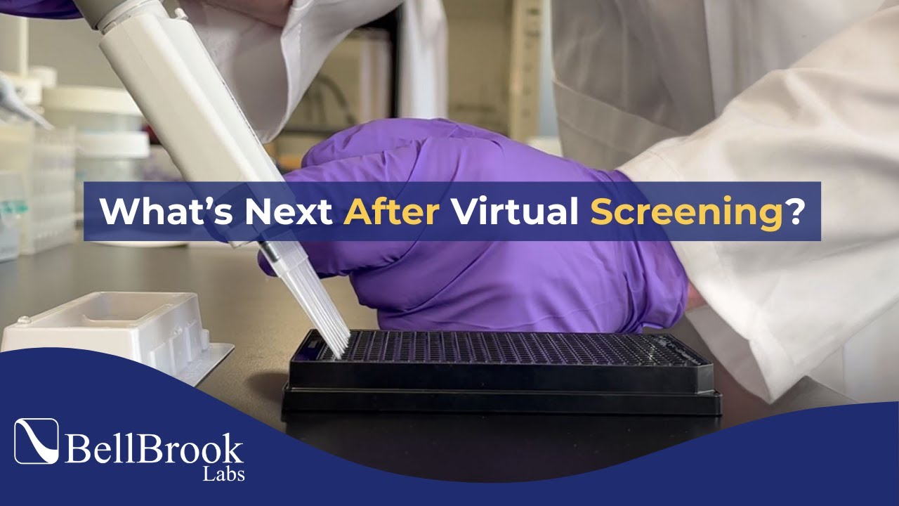From Virtual Hits to Validated Inhibitors: How to Confirm Virtual Screening Results