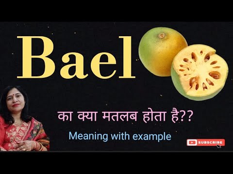 Bael fruit meaning l meaning of bael in hindi l vocabulary