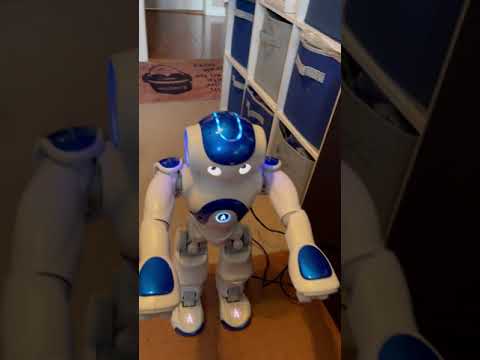 Nao Robot v5 testing basic moves