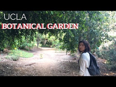 SANTA MONICA PIER & ULCA BOTANICAL GARDEN (LA TRAVEL GUIDE 2018)
