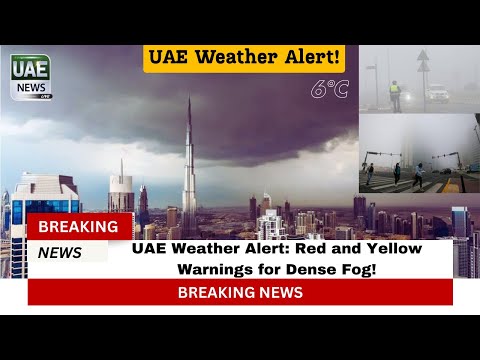 UAE Weather Alert: Red and Yellow Warnings for Dense Fog!