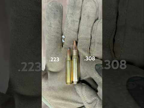 .223 vs .308 Size Comparison