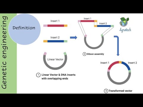Definition and history of Genetic engineering