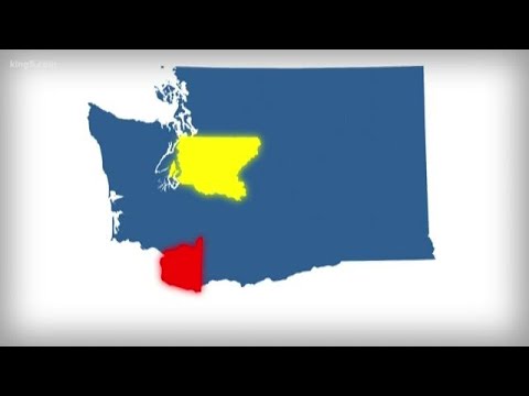 State of measles response