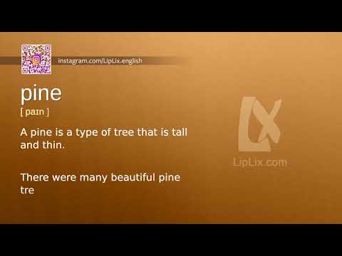 Pine : B2 level english vocabulary lesson, www.LipLix.com