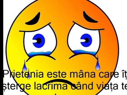 Proverbe despre prietenie