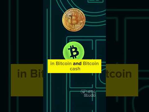 Mt. Gox Trustee to Start Bitcoin, Bitcoin Cash Repayments in July