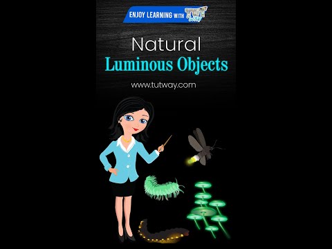 Light Energy | Natural Luminous Objects | Luminous Objects for Kids | Science #shorts