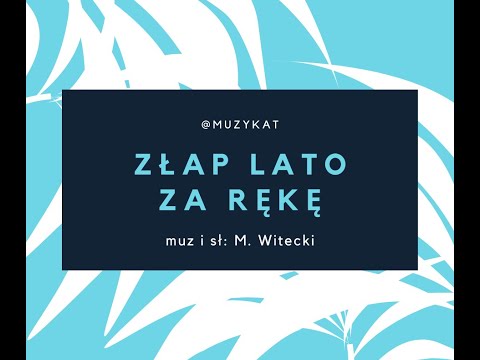 Złap lato za rękę | MuzyKat | MUZYKALNIE DLA DZIECI