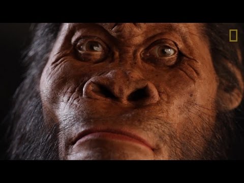 Ancient human ancestor hid bodies in near-inaccessible caves, Ep. 218