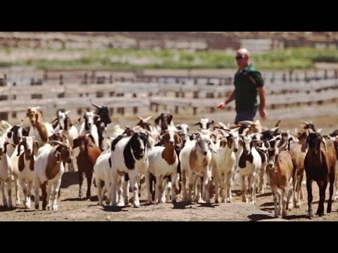 Online Master's in Agriculture - Kraig Peel
