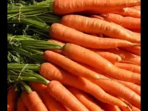 Leskovačka šargarepa !
