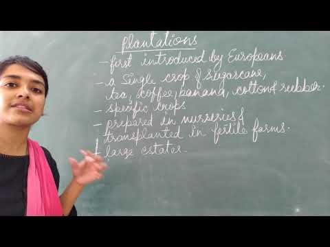 PLANTATION AGRICULTURE