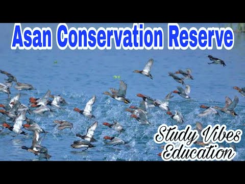 Asan Conservation Reserve
