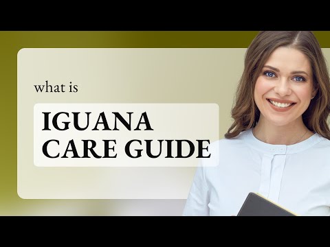 Understanding "Iguana Care Guide": A Comprehensive Overview for English Language Learners
