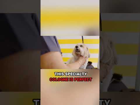 Transform Your Pet's Scent with Double K Groomers Edge Unleashed Cologne Spray | 8 oz Review