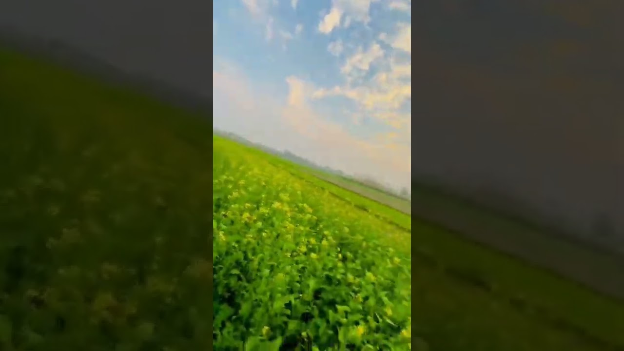 morning 🌄🙋https://media.tenor.com/images/74f06a1dea0c2d2b67f41d5bcec3d068/tenor.gif