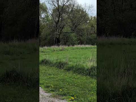 Video of Highland State Recreation Area — Highland Recreation Area, MI from Brett B.