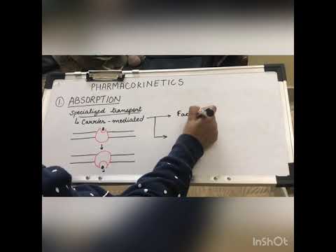 Pharmacokinetics: Absorption & Membrane transport