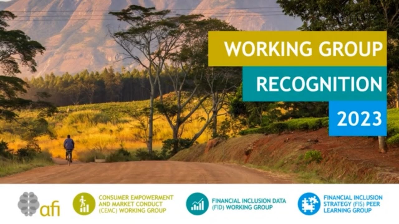 Consumer Empowerment & Market Conduct, Financial Inclusion Data & Strategy Working Group Recognition
