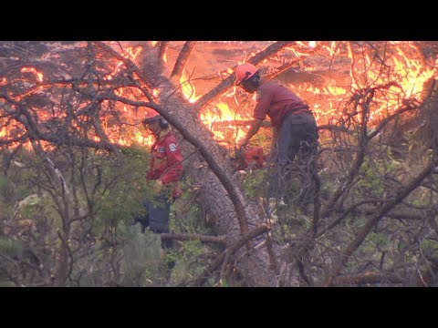 Carbon emissions from wildfires shoot higher in B.C.