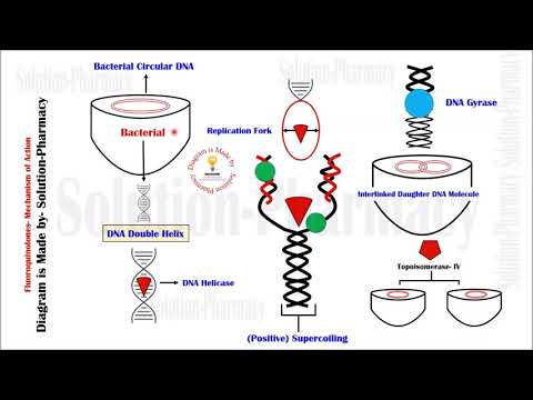 Fluoroquinolones = Mechanism of Action | Fluoroquinolone | Chemotherapy | DNA Gyrase Inhibitors