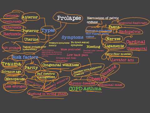 pelvic prolapse -1-