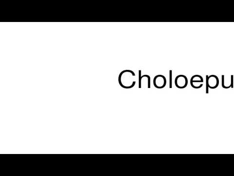 How to pronounce Choloepus