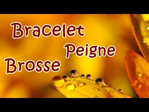 How to pronounce "brosse, peigne, bracelet" in French