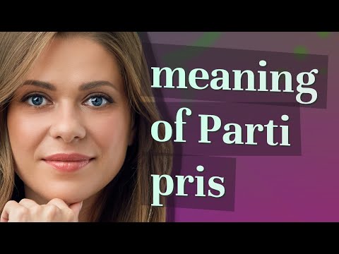 Parti pris | meaning of Parti pris