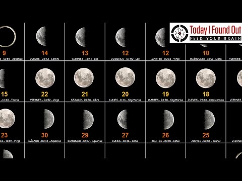 Why Do We Have a Seven Day Week?