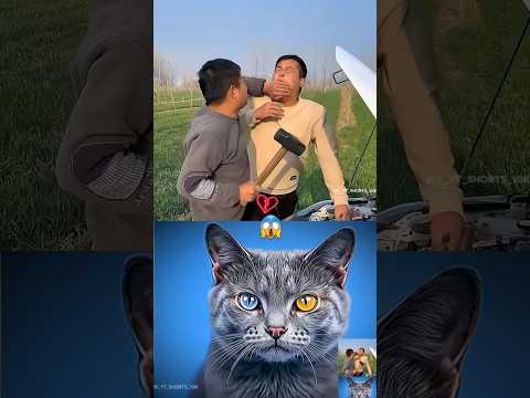 WHAT HAPPEN BY THIS PEOPLE GO TO SEE.....💀 #funny #memes #cat #popular