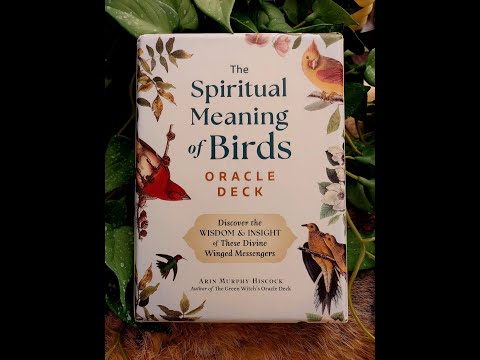 The Spiritual Meaning Of Birds Oracle - NEW RELEASE! ๐ฆ๐๐ฆ๐ฆ๐ฆ
๐ฆ๐ฆข๐ฆ๐ชถ