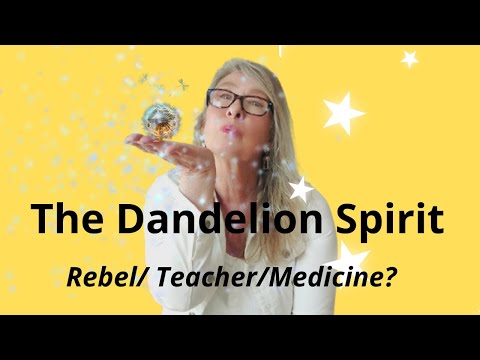 "The Secret Wisdom of the Dandelion/ A message for the Old Soul."