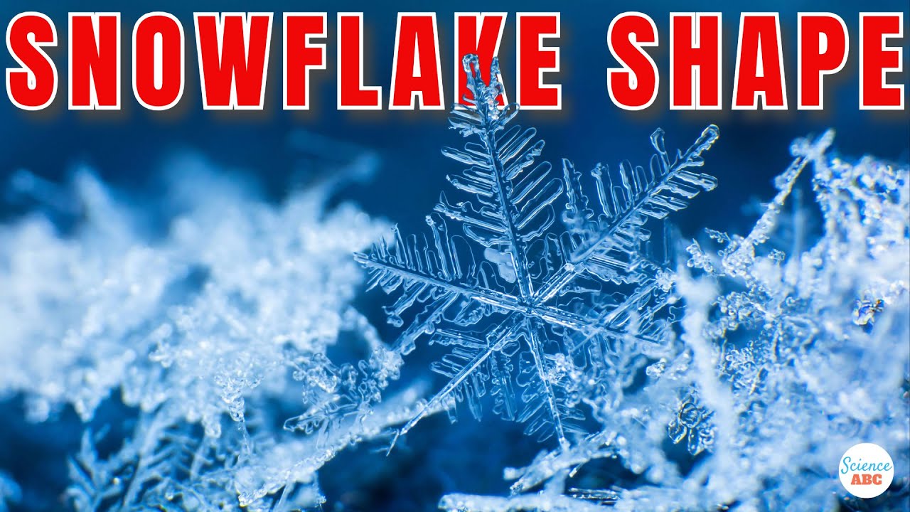 How Do Snowflakes 'Get' Their SHAPE?