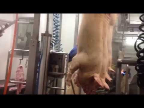 Training center for butchers and abattoir workers