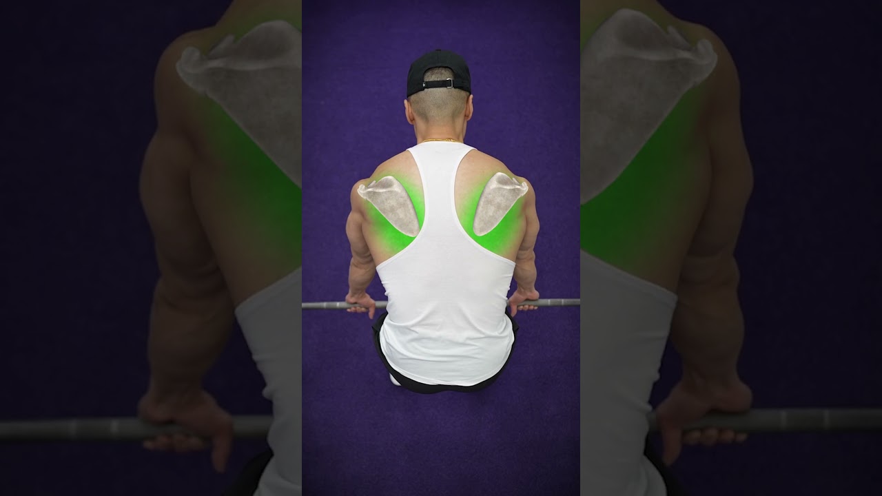 ✅ The PERFECT Barbell Row