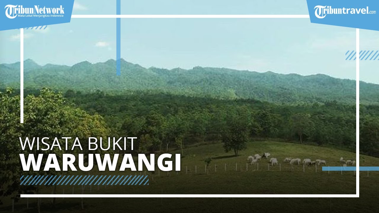 Bukit Waruwangi, Wisata Kekinian nan Murah di Serang Banten, Traveler ...