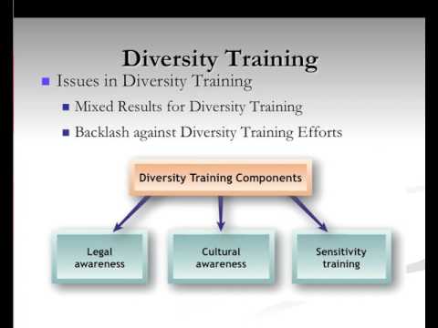 Diversity Management Lecture