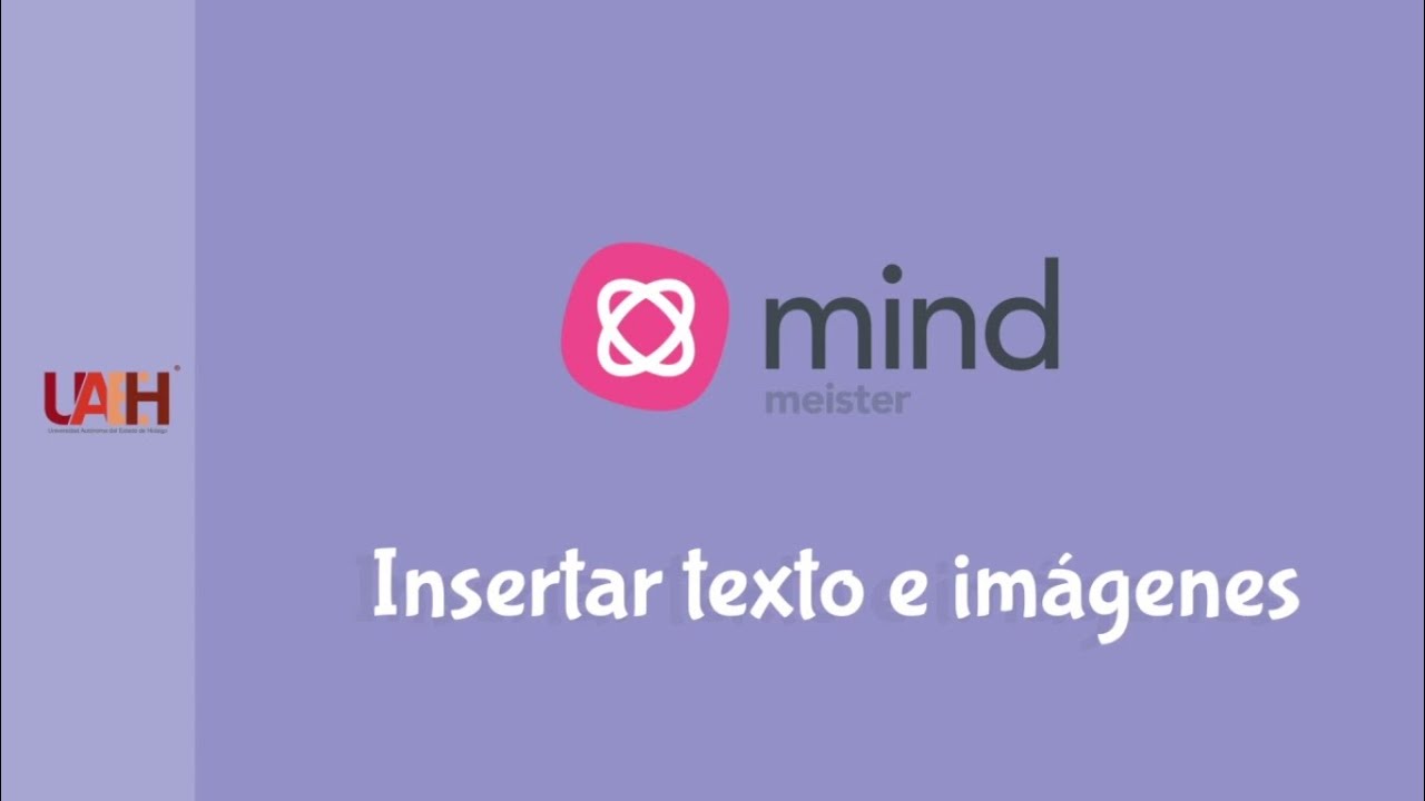 Insertar texto e imágenes con MindMeister
